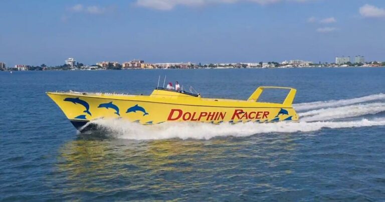 POWERFUL, RELIABLE, AND ENVIRONMENTALLY FRIENDLY ENGINES FOR DOLPHIN ...